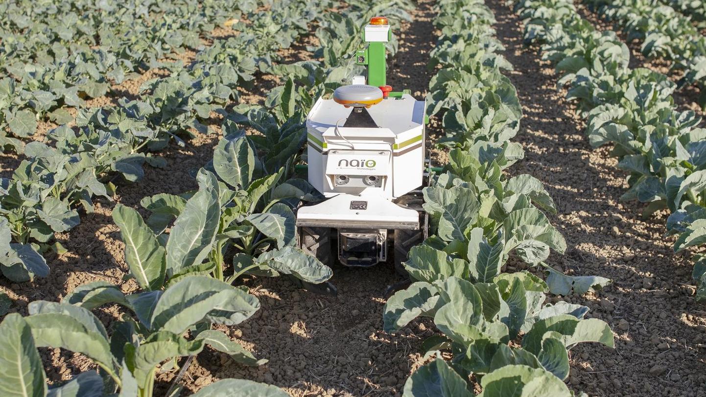 Robots agricoles Naïo | Agronova